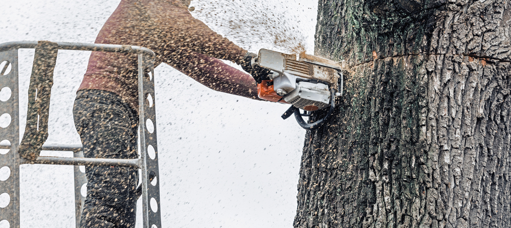 Dangerous High-Risk Tree Removal - Mike's Tree Removal Service